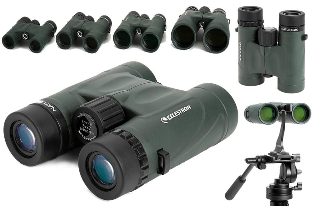 Top 10 Best Lightweight Compact Binoculars of 2025 Review – CAM Math